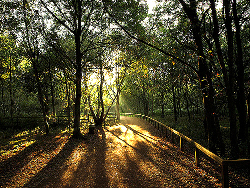 Nature Reserves - Visit Nottinghamshire