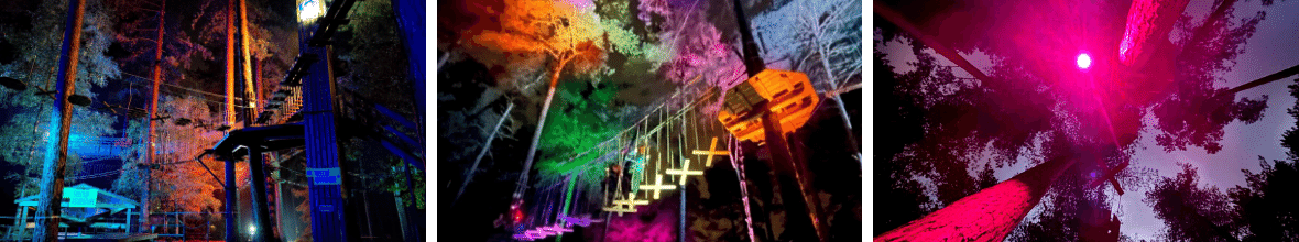 Go Ape sundown sessions - Visit Nottinghamshire