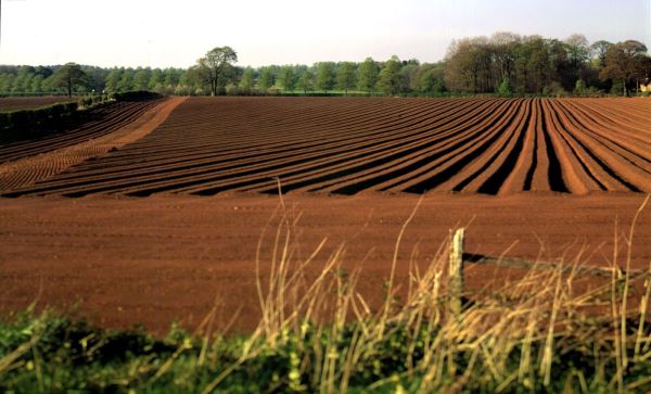 Interesting Facts - Visit Nottinghamshire