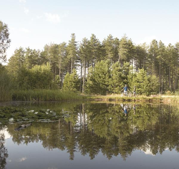 Welcome to Nottinghamshire - Visit Nottinghamshire